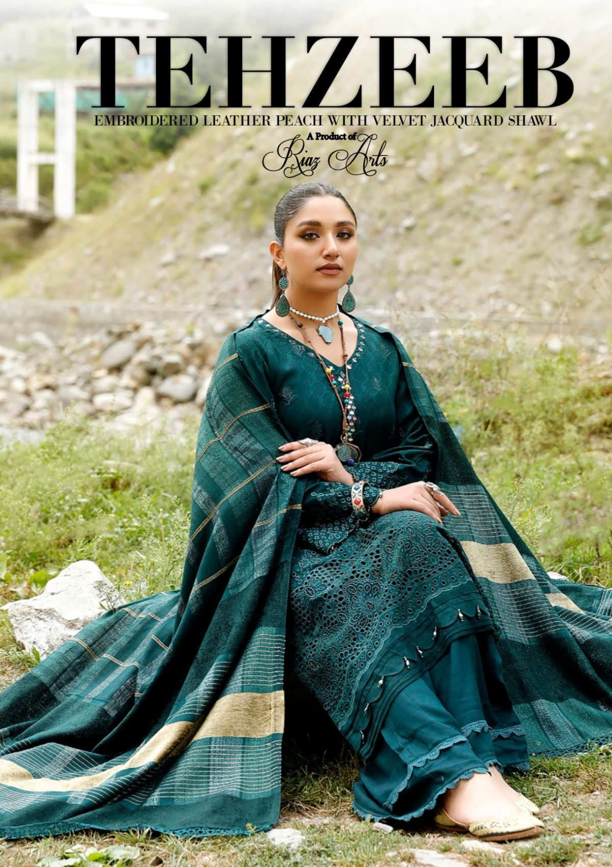 Riaz Arts Tehzeeb Velvet 2023 – Saleem Fabrics Traditions